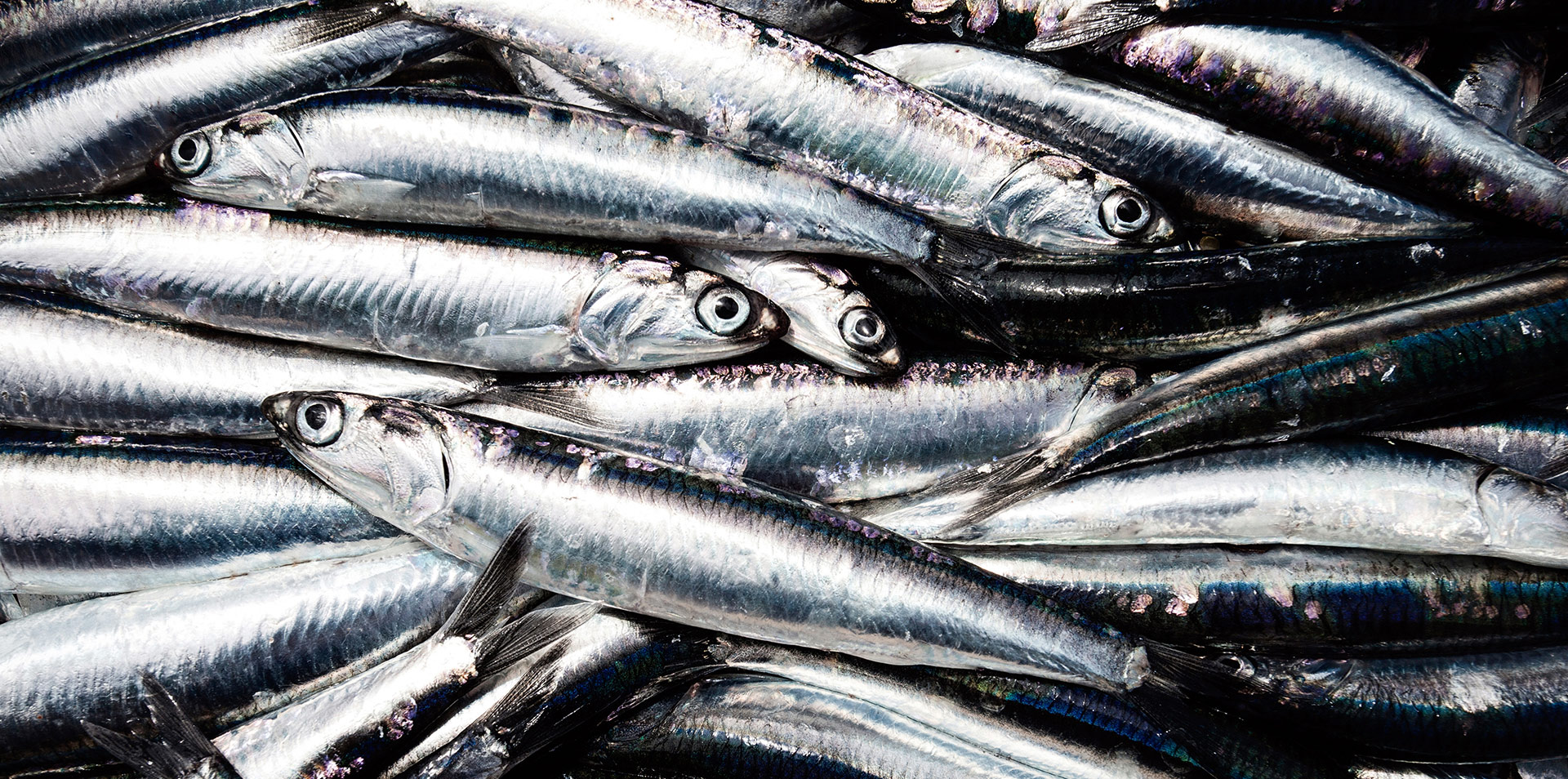 Propuesta Gastronómica | ELKANO